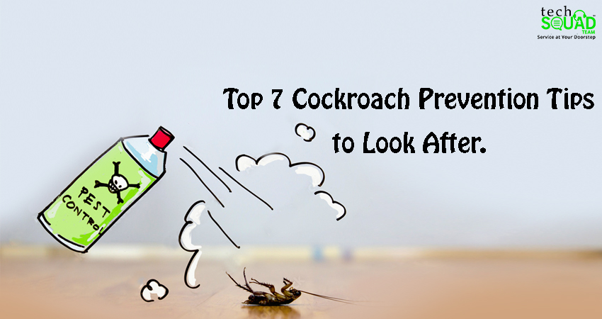 Top 7 Cockroach Prevention Tips to Look After. | Posts by Techsquad ...