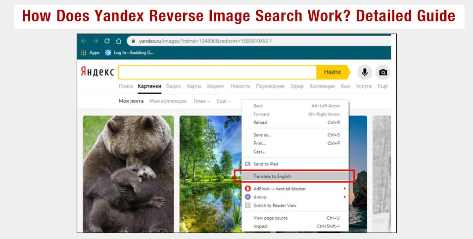 How Does Yandex Reverse Image Search Work? Detailed Guide | Posts by ...
